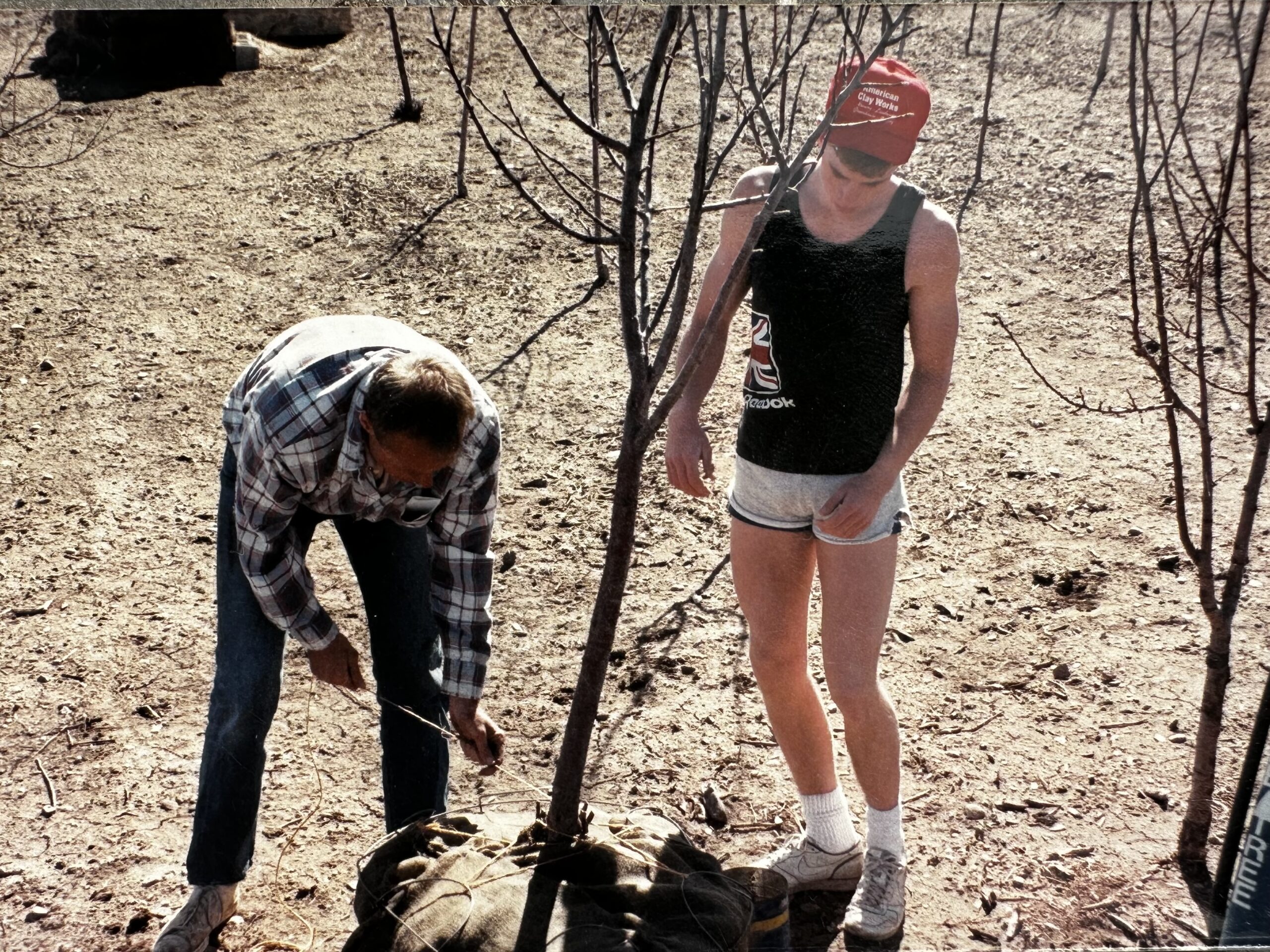 About Us - Lindgren Landscape